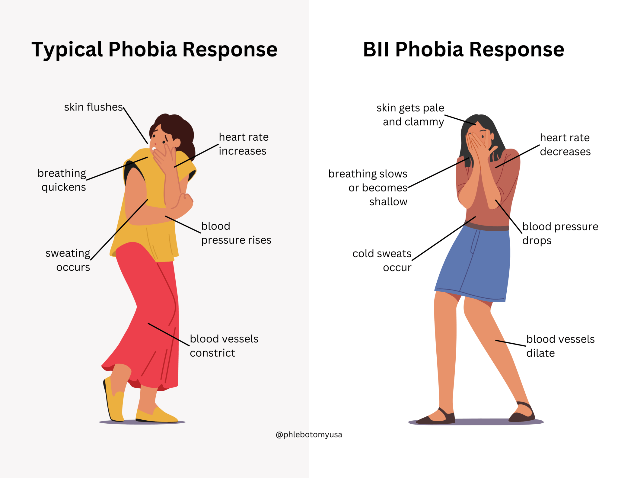 Why People Faint at the Sight of Blood | Phlebotomy USA