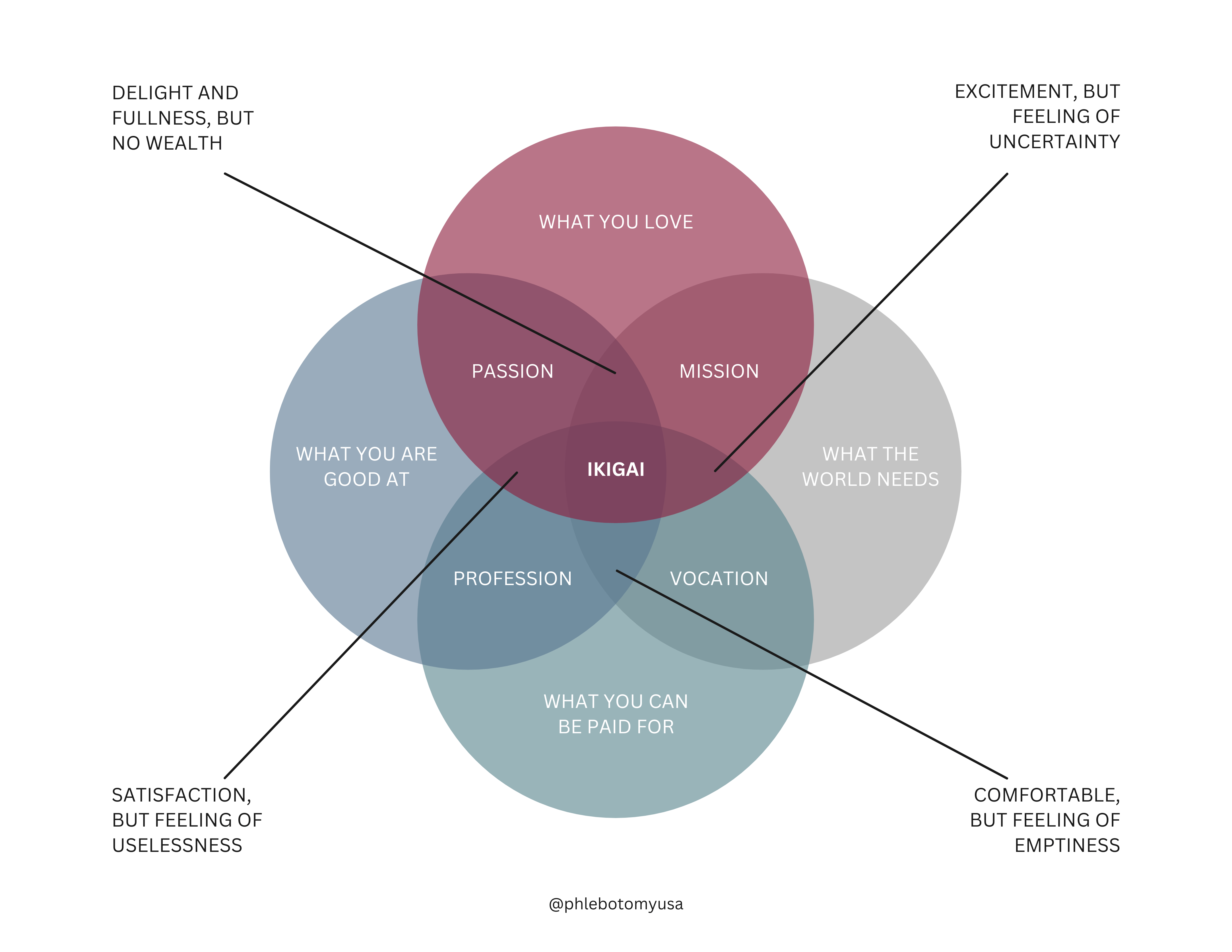 Finding Happiness and Longevity Through Your Ikigai | Phlebotomy USA